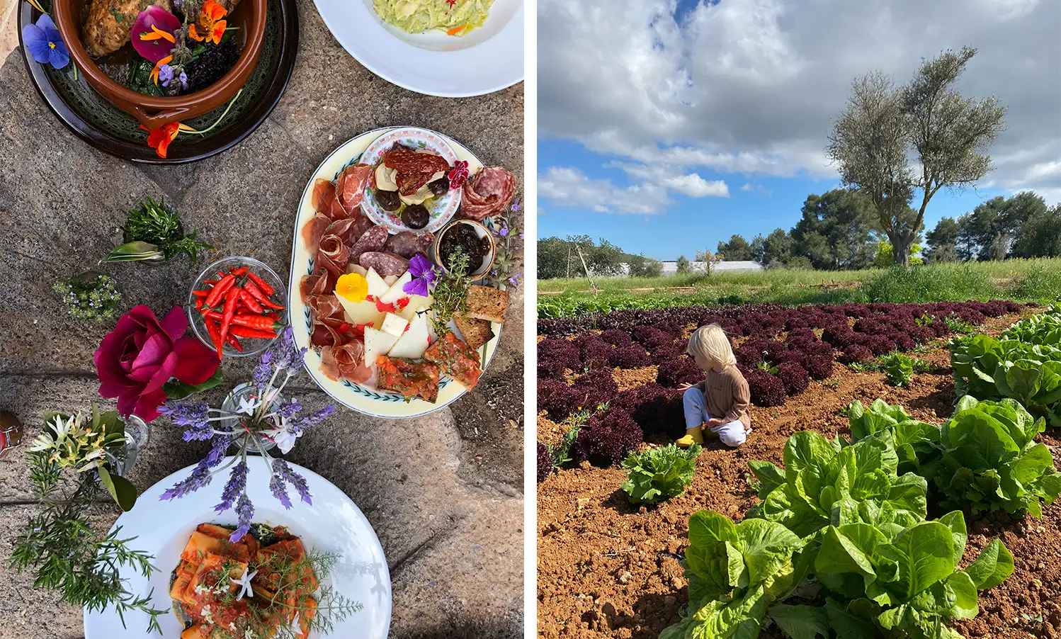 Talana Bestall’s Wellness Rituals, Longevity Practices & ANÍMA Vision